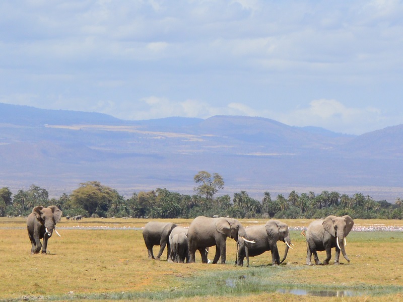 Turismo no Quênia Parte 2 - BrasileirasPeloMundo.com
